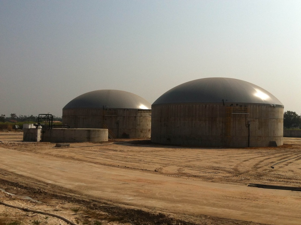 Energy crops - BITECO BIOGAS